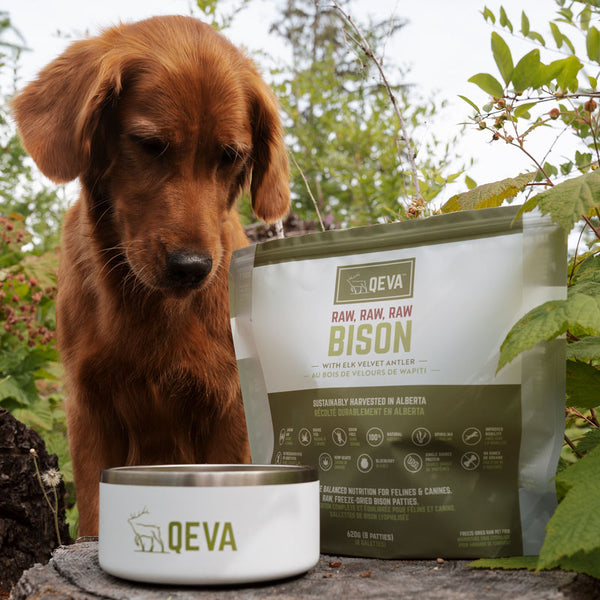 RAW, RAW, RAW Bison - Freeze-Dried Dog Food 8 pack - QEVA