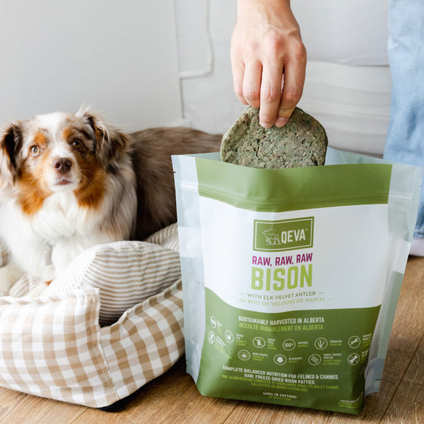 RAW, RAW, RAW Bison - Freeze-Dried Dog Food 8 pack - QEVA
